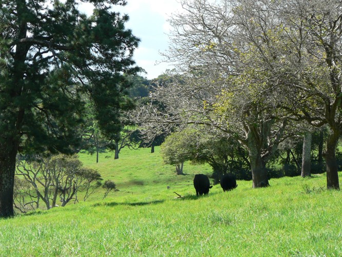 prayer-of-the-heart - Quiet Countryside